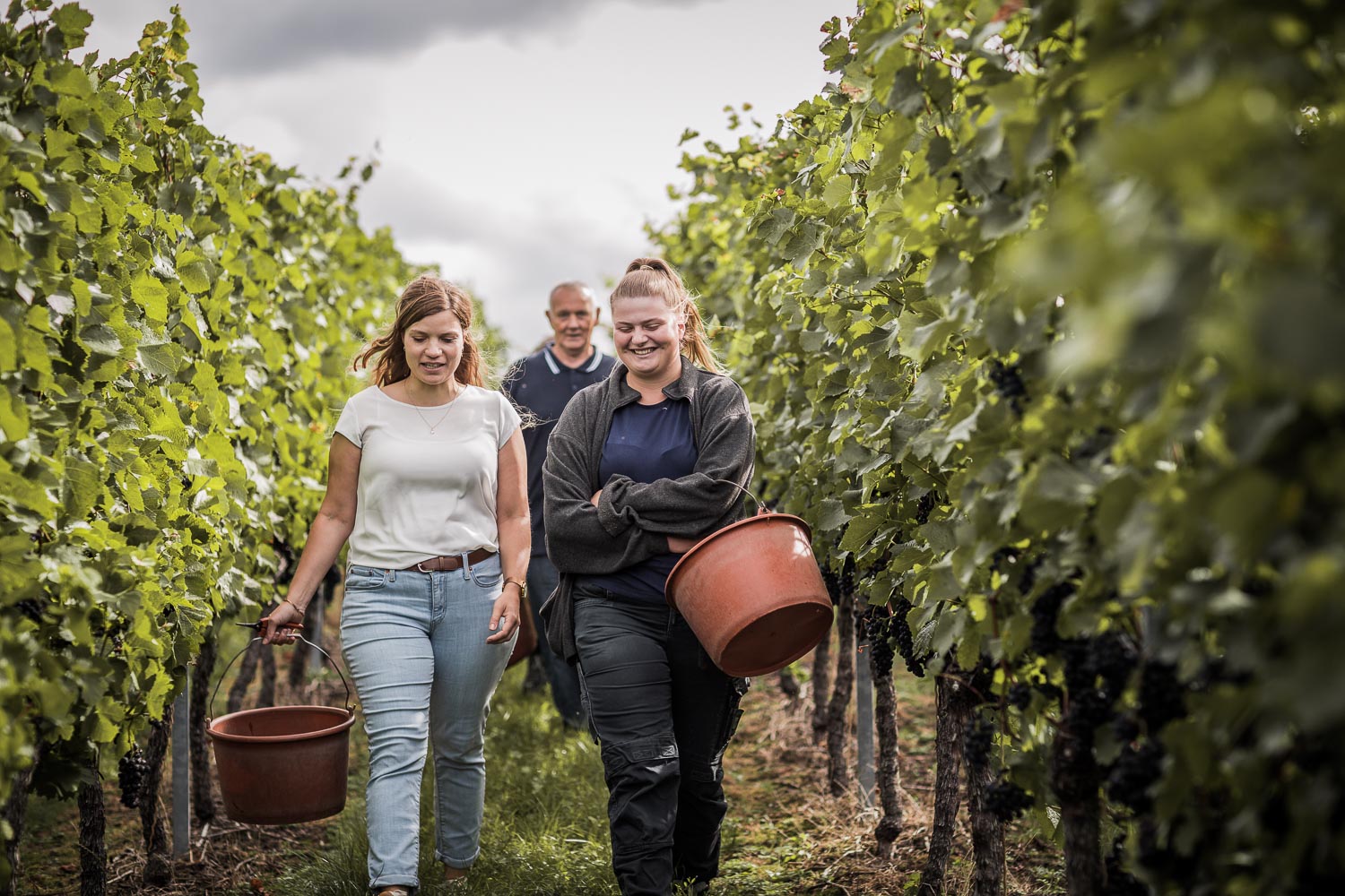 Erlebnisse – Winzer von Baden